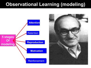 Observational learning | PPTX