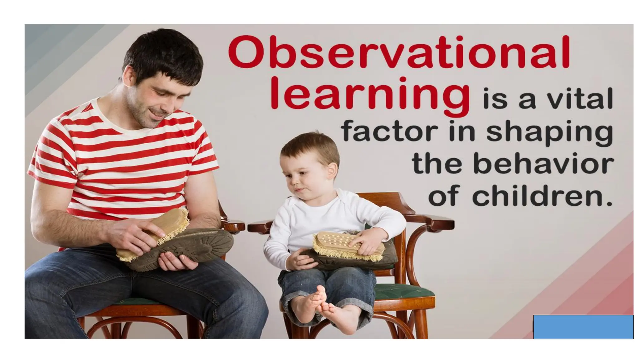 Observational Learning Theory and Its Application.pdf