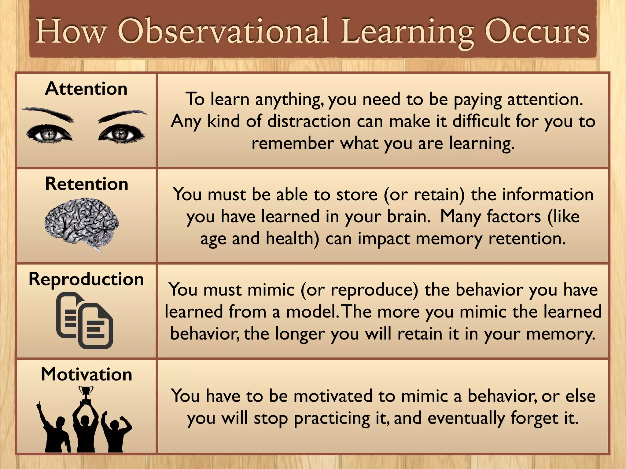 Observational Learning Slides | PDF