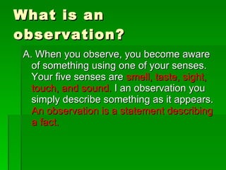 Observation And Inferences Powerpoint | PPT