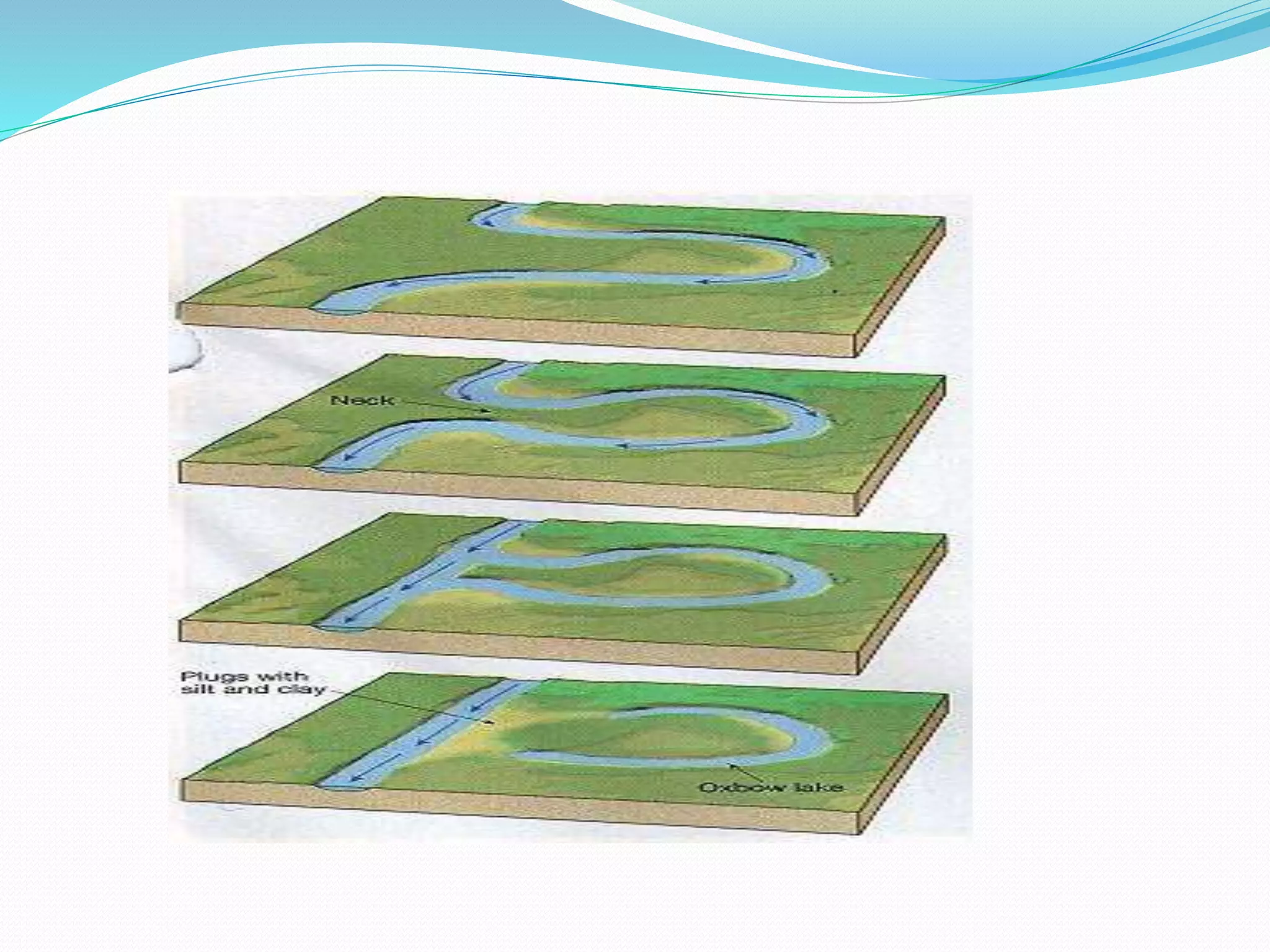 Drainage...class 9 cbse | PPTX