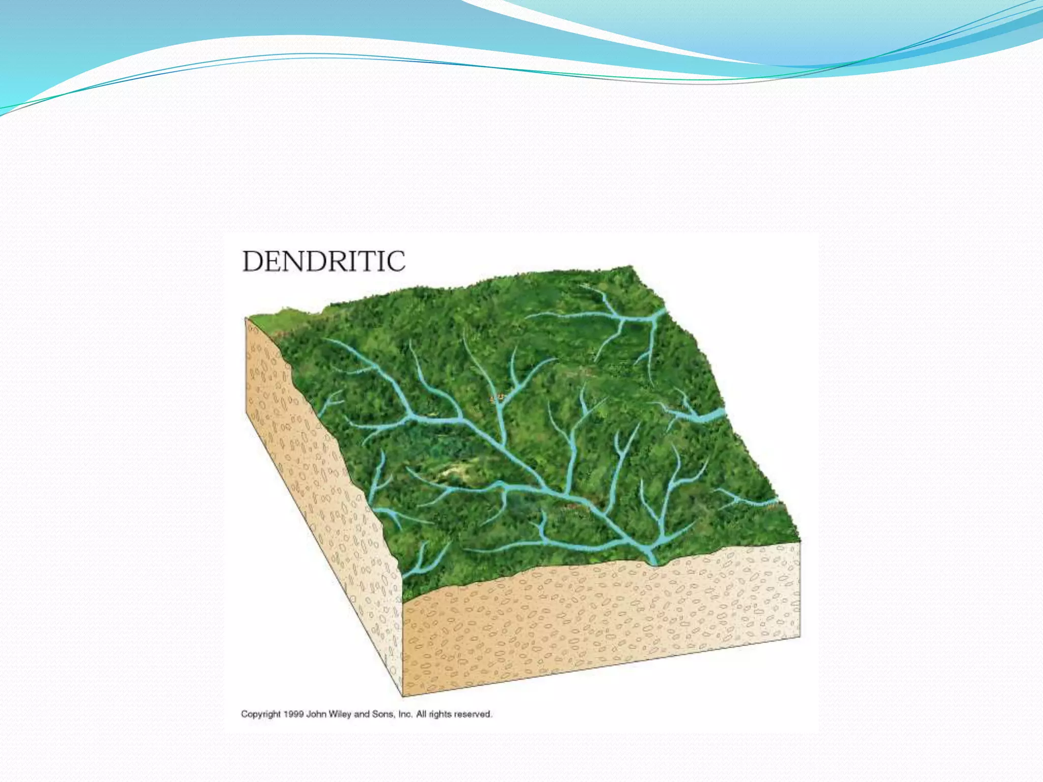 Drainage...class 9 cbse | PPTX
