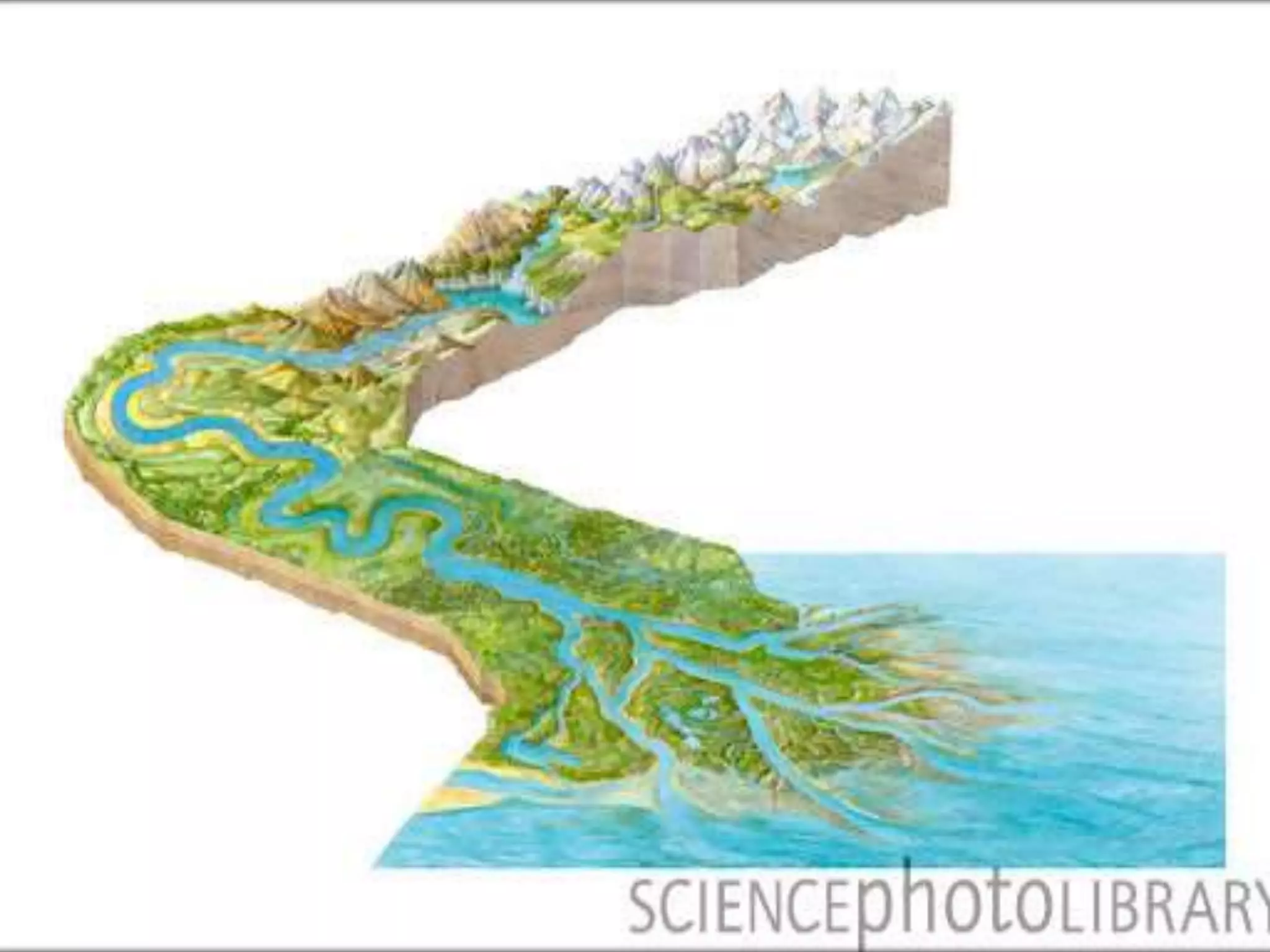 Drainage...class 9 cbse | PPTX