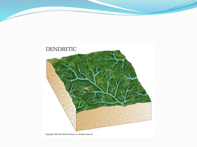 Drainage...class 9 cbse | PPTX