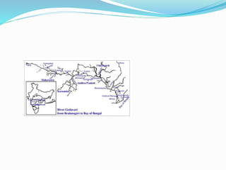 Drainage...class 9 cbse | PPTX
