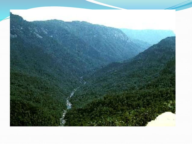 Drainage...class 9 cbse | PPTX