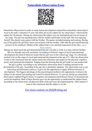 Observation Essay Example | PDF