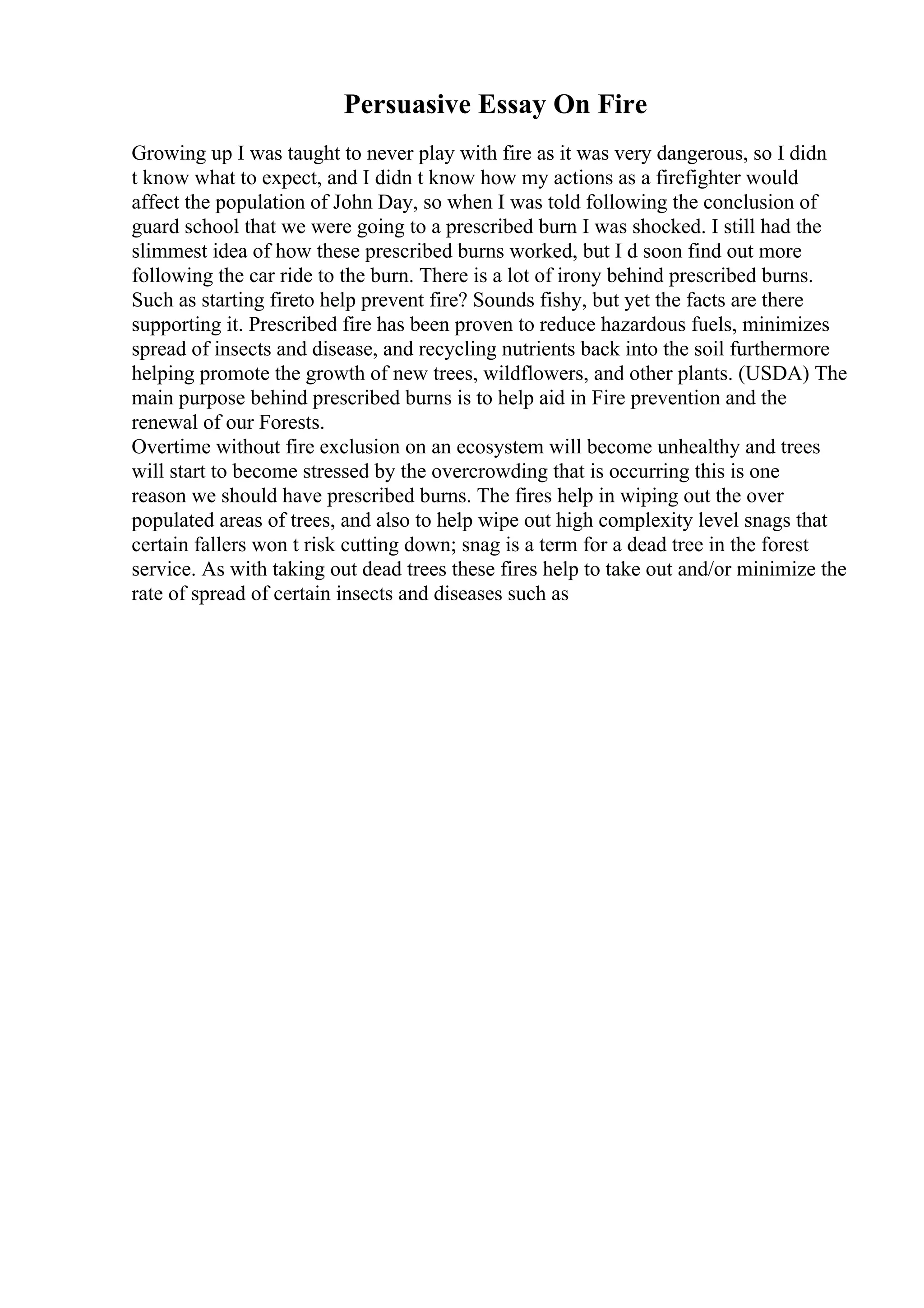 Observation Essay Examples. | PDF