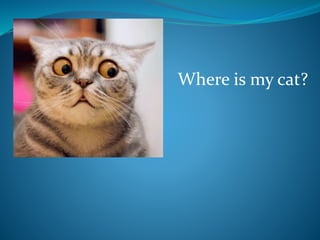 Observation Games for teachers and school students | PPTX