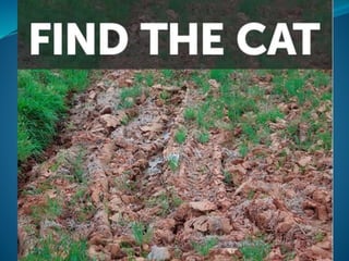 Observation Games for teachers and school students | PPTX