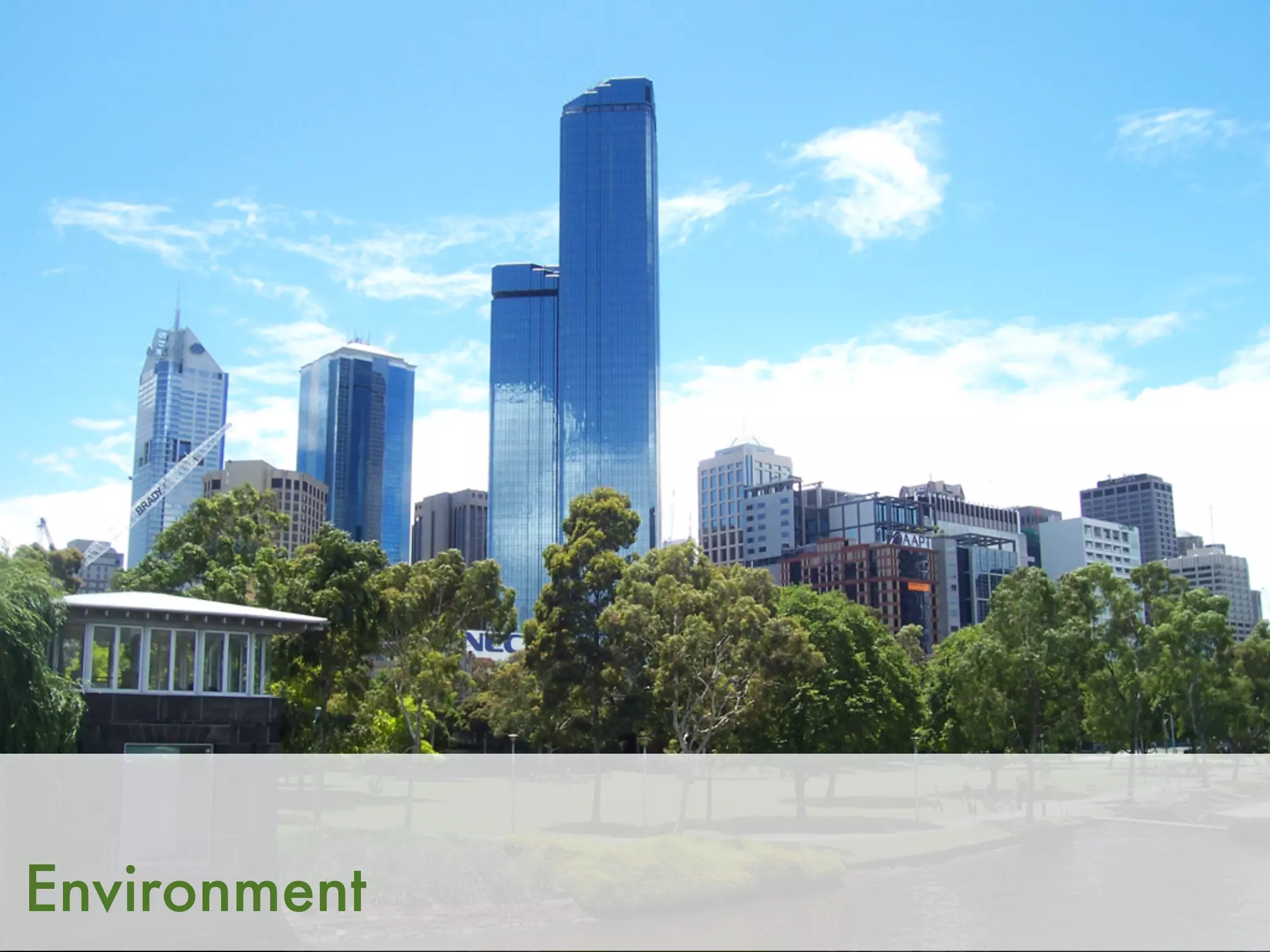 The Craft of Observation | PDF | Arts and Crafts | Hobbies & Interests