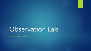 Observation lab | PPTX