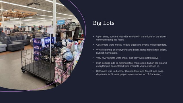 Observation Lab.pptx