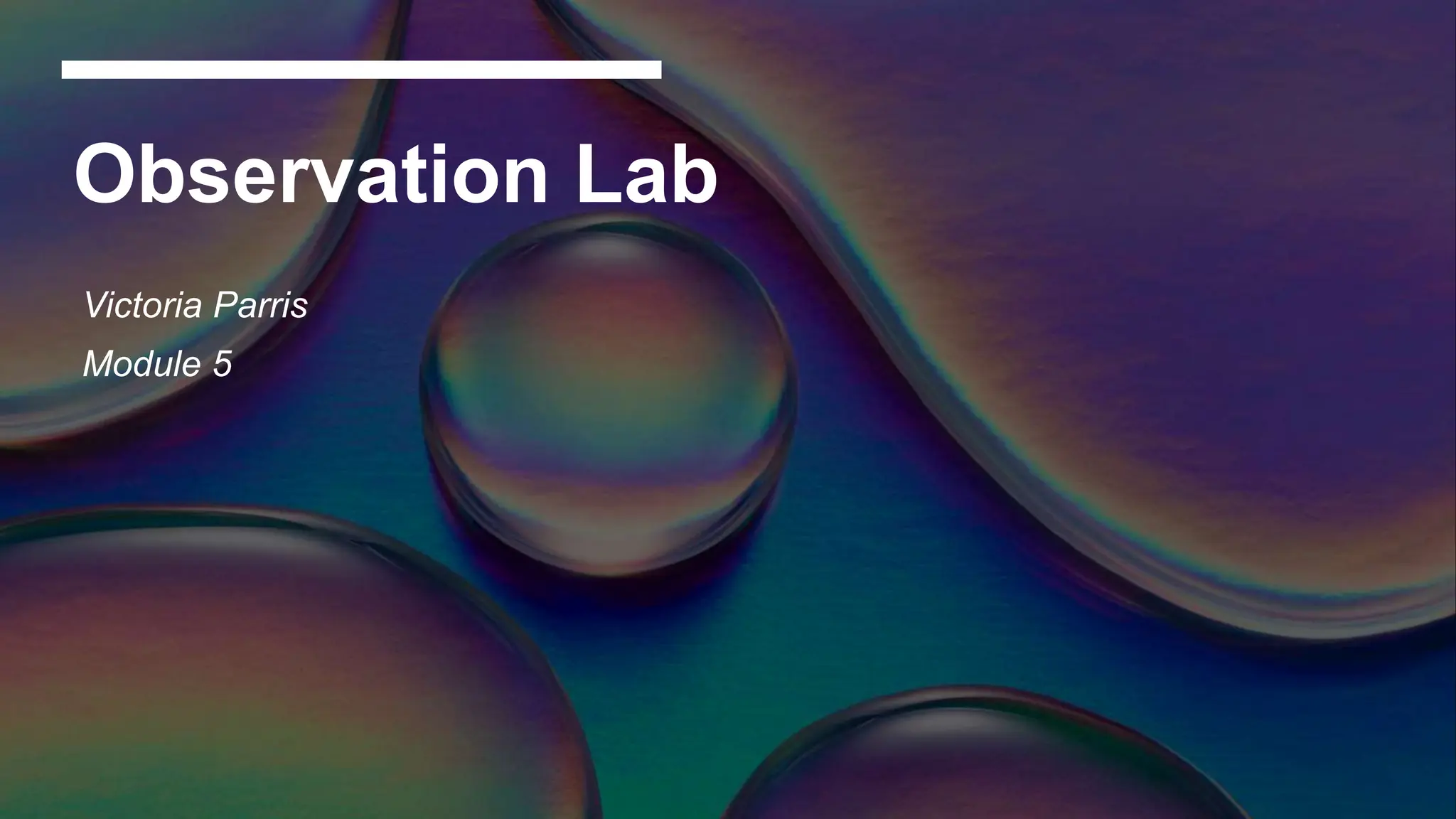 Observation Lab.pptx