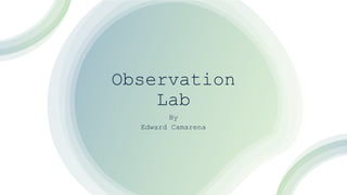 Observation Lab PowerPoint Assignment for TEM 431 | PPTX | Malls & Shopping Centers | Attractions