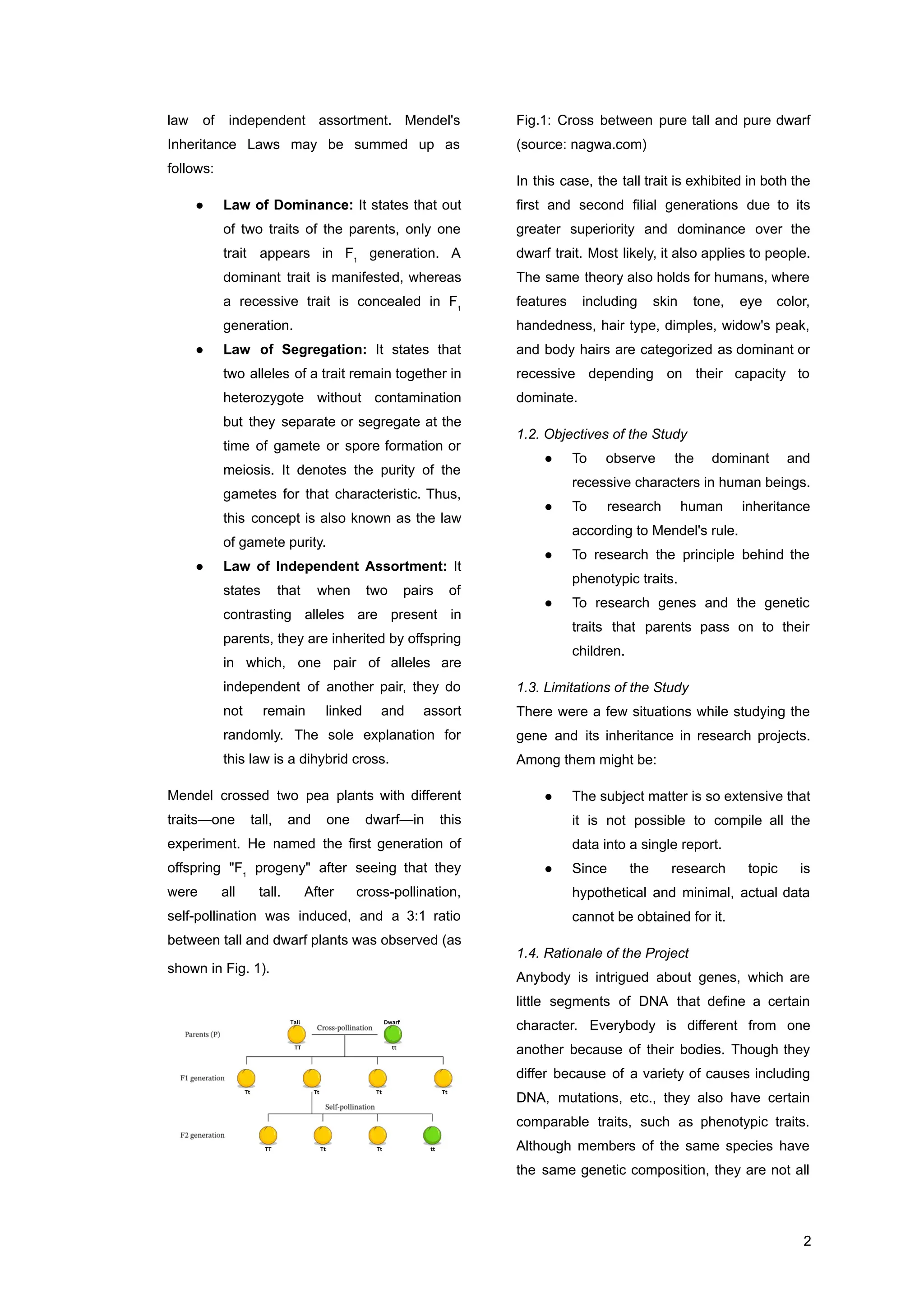 Observation of Dominant and Recessive Character in Humans | PDF