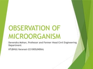 Observation_of_Microorganisms with diagram | PPTX