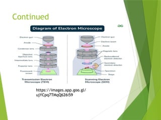 Observation_of_Microorganisms with diagram | PPT