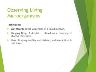 Observation_of_Microorganisms with diagram | PPT