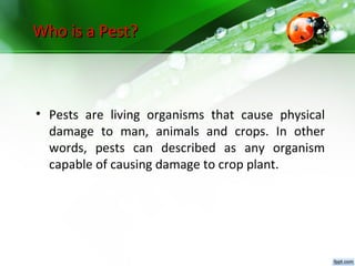 Observation of pests and diseases in faculty farm | PPT