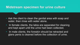 Observation of stools, urine, and sputum | PPTX