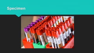 Observation of stools, urine, and sputum | PPTX