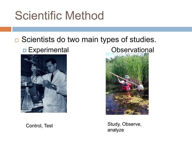 Observations And Inferences | PPT