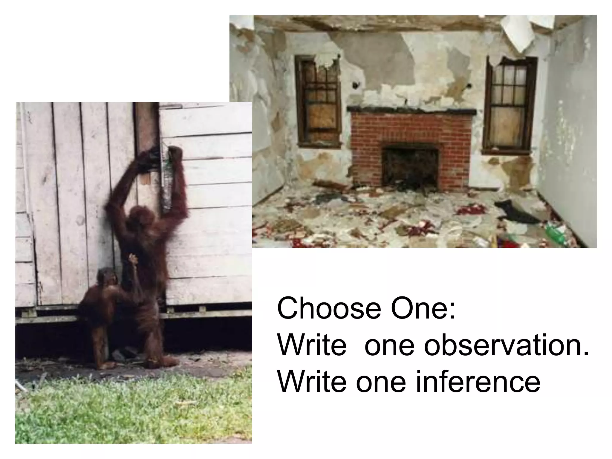 Observations and Inferences | PPT