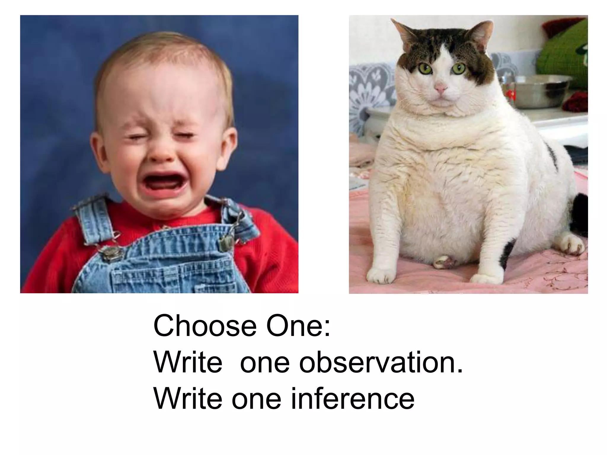 Observations and Inferences | PPT