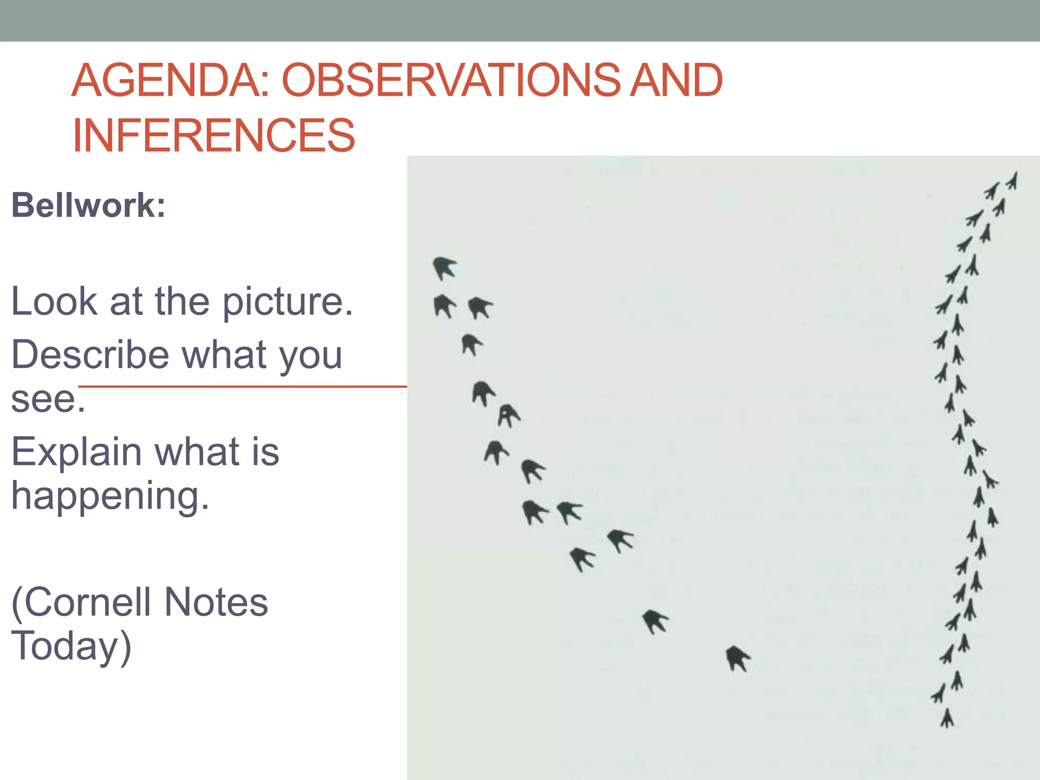 Observations and inferences with scale | PPTX