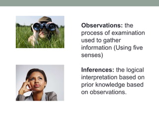 Observations and inferences with scale | PPT
