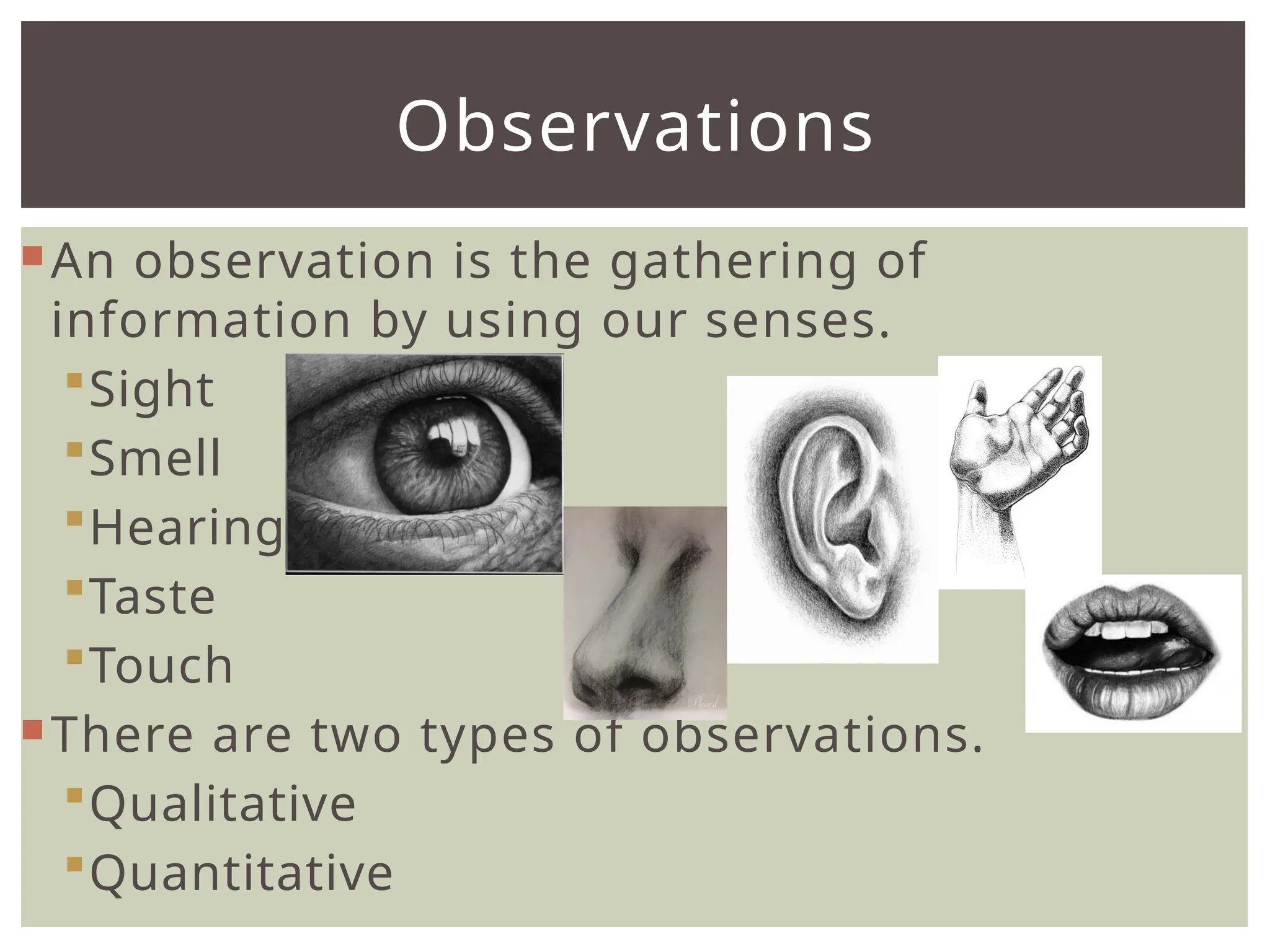 Observations vs Inference ppt grade seven | PPTX