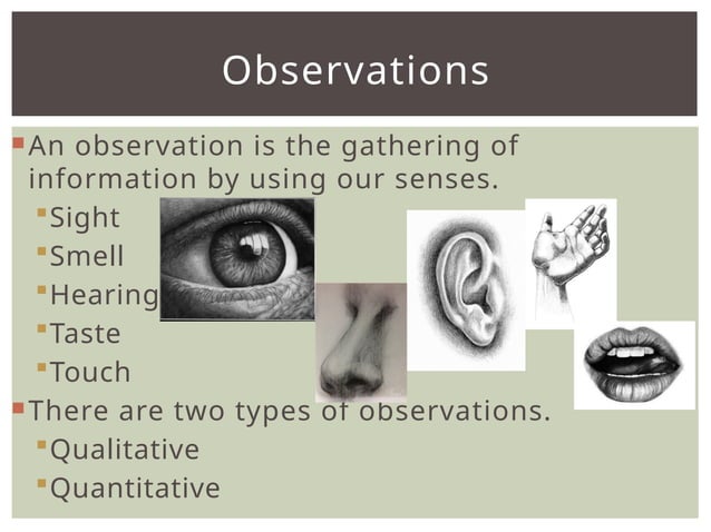 Observations vs Inference ppt grade seven | PPTX
