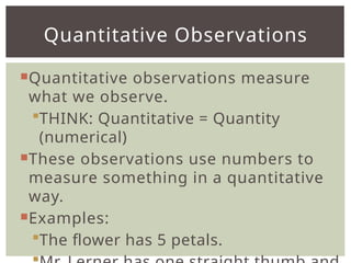 Observations vs Inference ppt grade seven | PPTX
