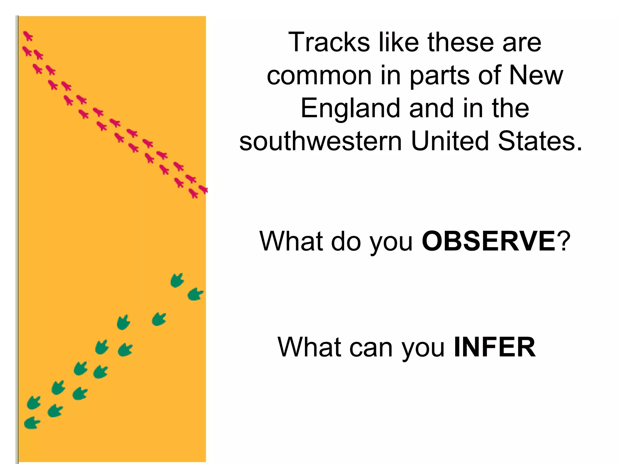 Observation vs inference | PPT