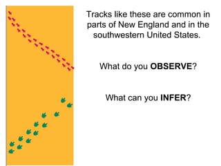 Observation vs inference | PPT