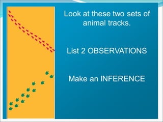 Observations vs. Inferences Scientific Method | PPT