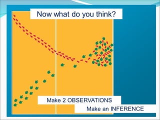 Observations vs. Inferences Scientific Method | PPT