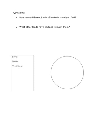Bacteria In Yogurt Compound Microscope