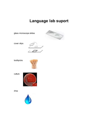 Bacteria In Yogurt Compound Microscope