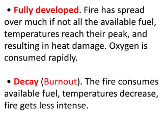 OBSERVE-PRECAUTIONARY-AND-PROPER-PROCEDURES-IN-ADDRESSING-A-FIRE ...