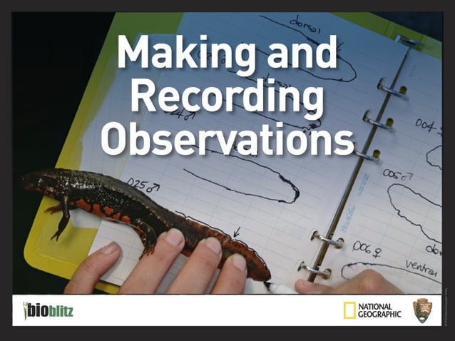 Observing And Recording Power Point | PPT