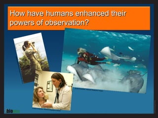 Observing And Recording Power Point | PPT