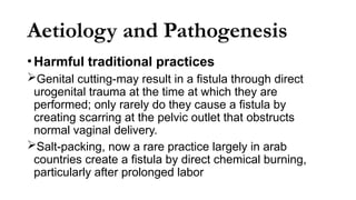OBS Fistula obstetrics and gynecology ppt | PPTX