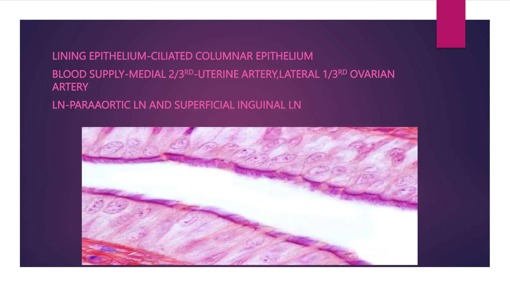 Obs gyne-2.pptx this contains vagina cervix, fallopian tube etc. | PPTX