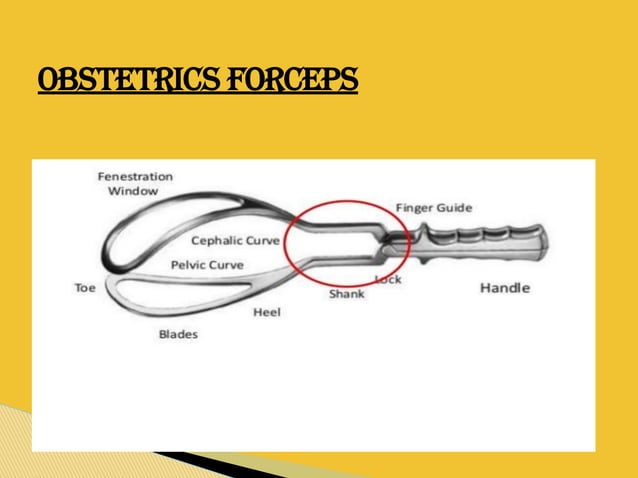 Gynecological and obstetrics Instruments | PDF | Pregnancy ...