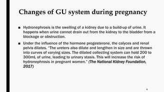 Minor Ailments During Pregnancy: Genitourinary system changes | PPTX