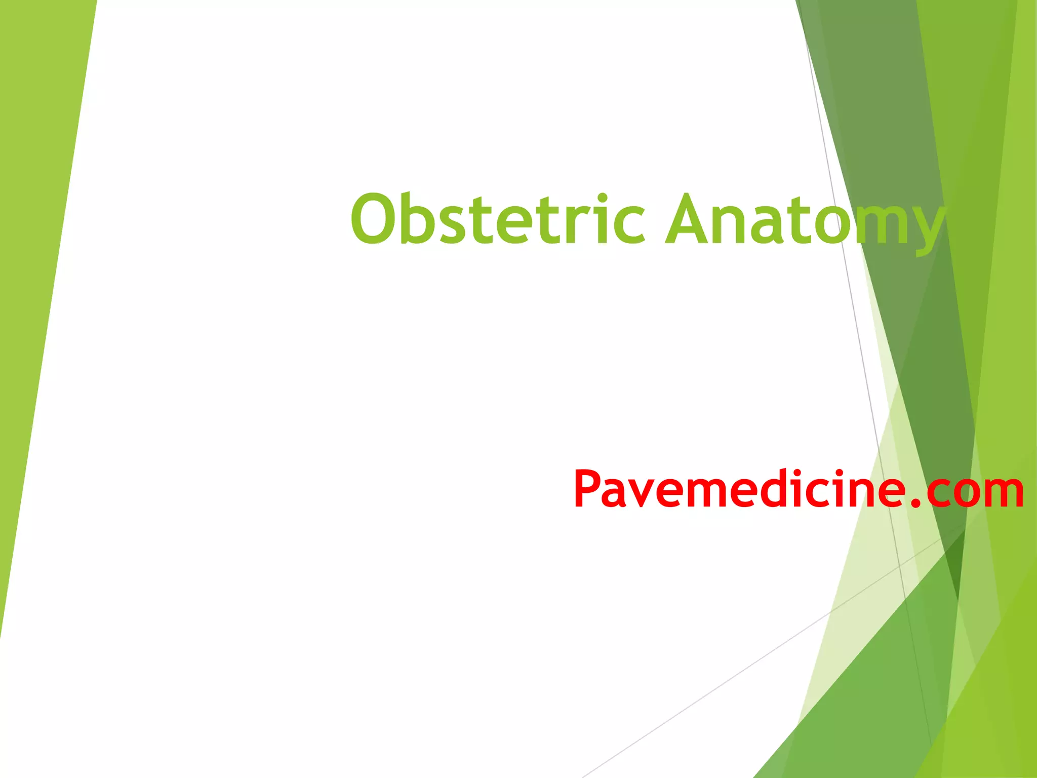 Obstetric anatomy | PPT