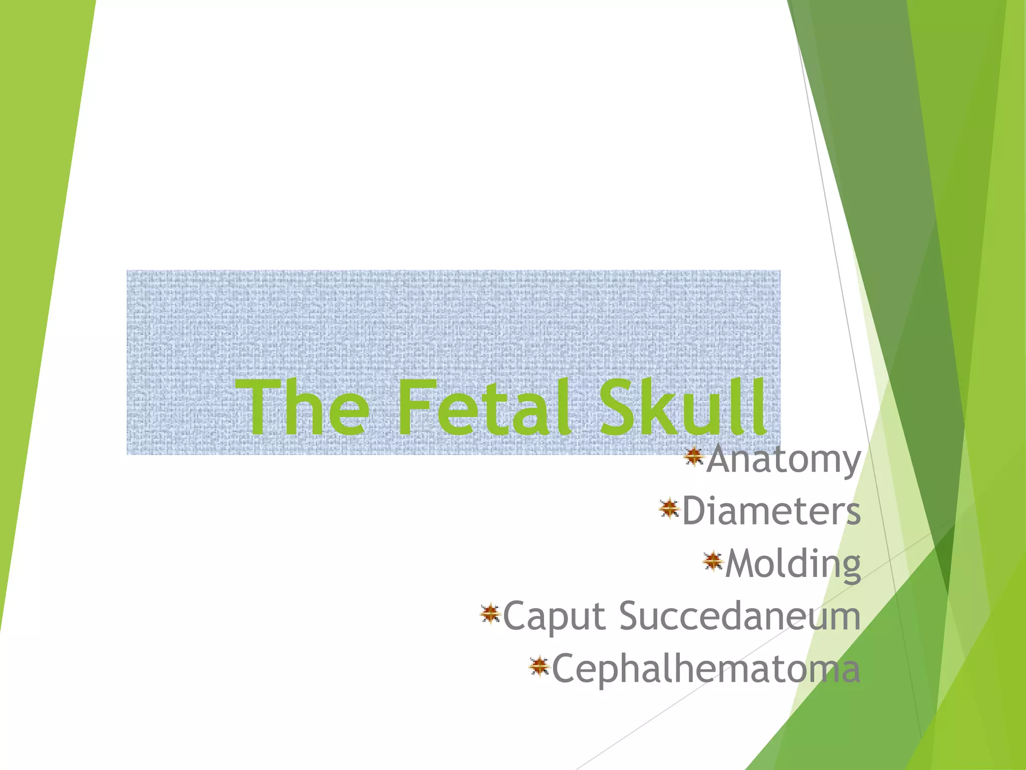 Obstetric anatomy | PPT