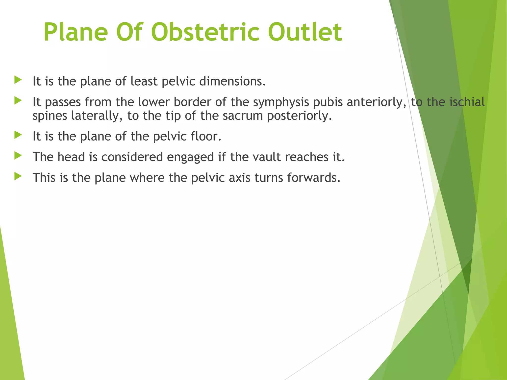 Obstetric anatomy | PPT